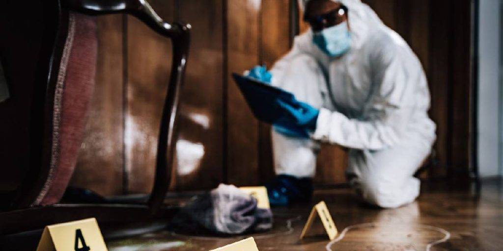 Triumph Australia | How to Become a Detective: A Guide to Australian ...