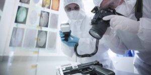 How to Become a Forensic Investigator in Australia - Triumph Australia