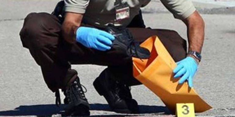 How to Become a Forensic Investigator in Australia - Triumph Australia